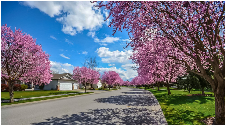 Cincinnati Revealed - Cincinnati Real Estate - Cincinnati Homes for ...